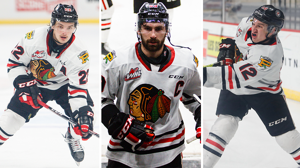 Over a Dozen Winterhawks on AHL Opening Night Rosters - Portland ...