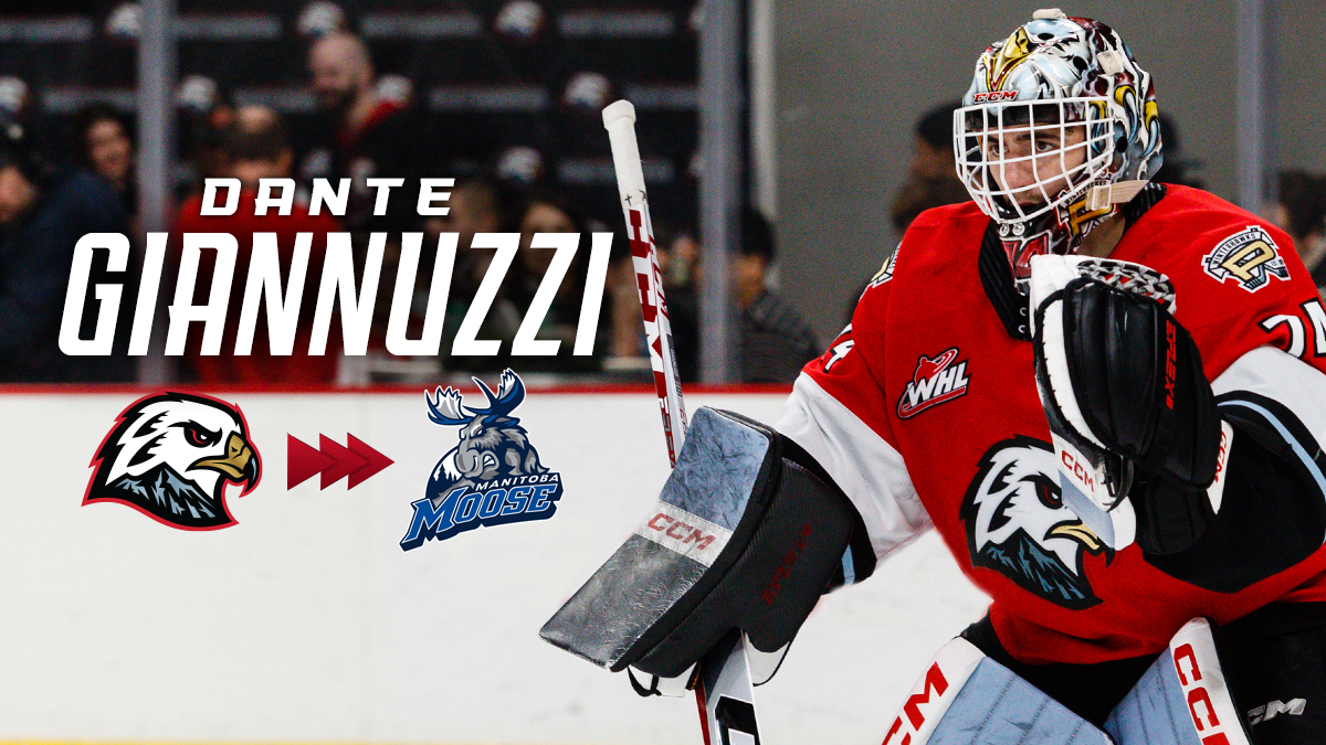 Dante Giannuzzi signs ATO with hometown Manitoba Moose - Portland ...