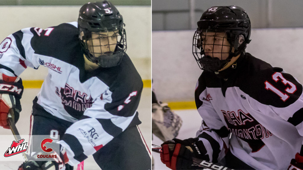 Good Things Come in Pairs: Dowhaniuk and Ziemmer part of a bright ...