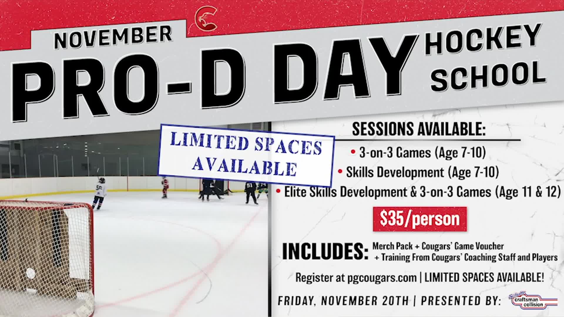 November Pro-D Day Hockey School Friday - Prince George Cougars