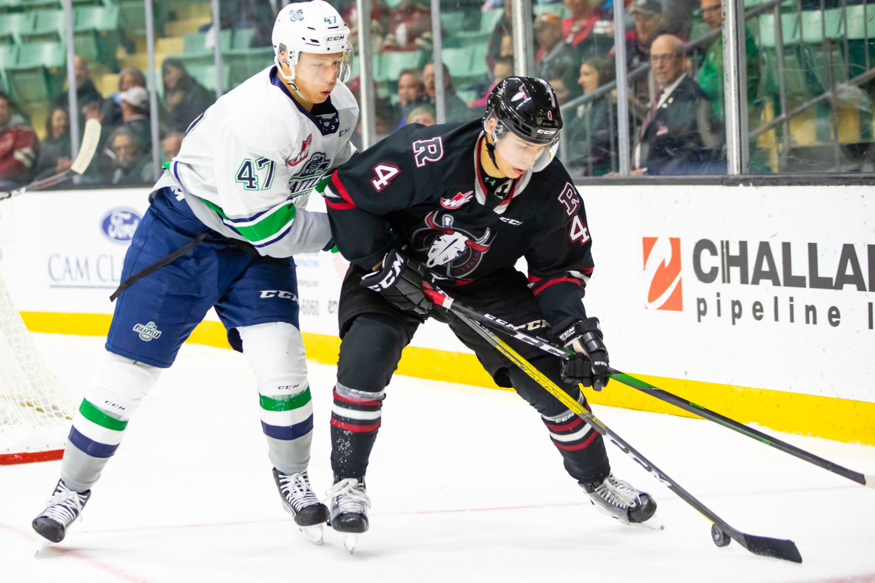 Rebels rookie defenceman Sedoff growing his game - Red Deer Rebels