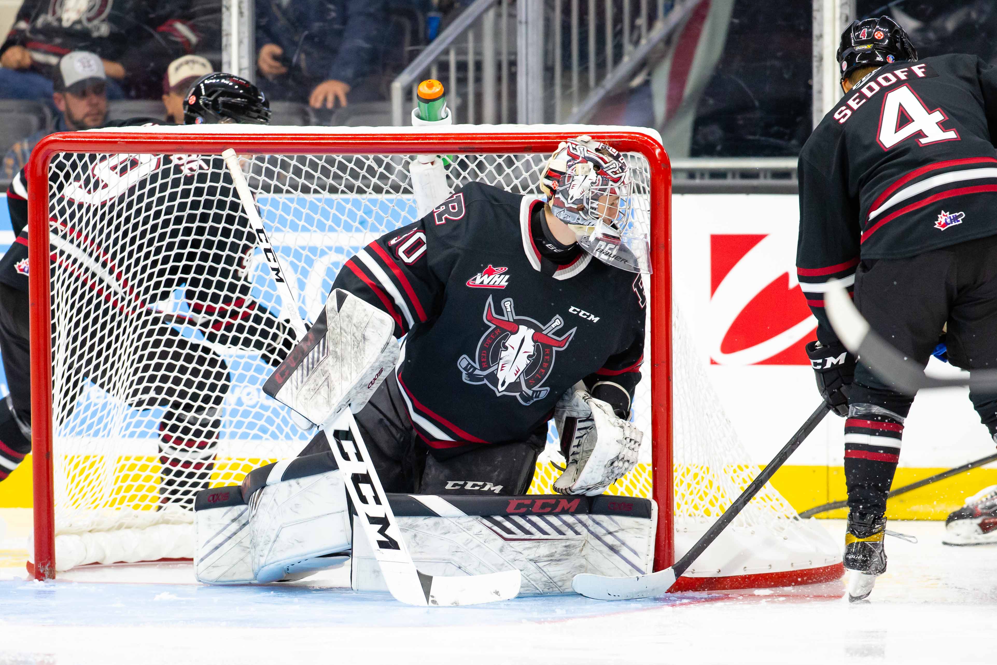 Chase Coward named WHL Goaltender of the Week - Red Deer Rebels