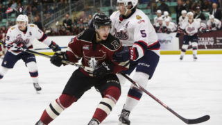 Red Deer Rebels – Official site of the Red Deer Rebels
