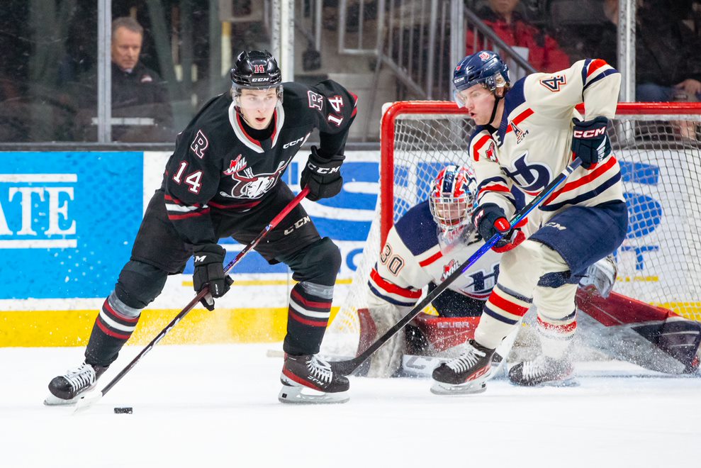 Rebels clinch Central title in Coward's return - Red Deer Rebels