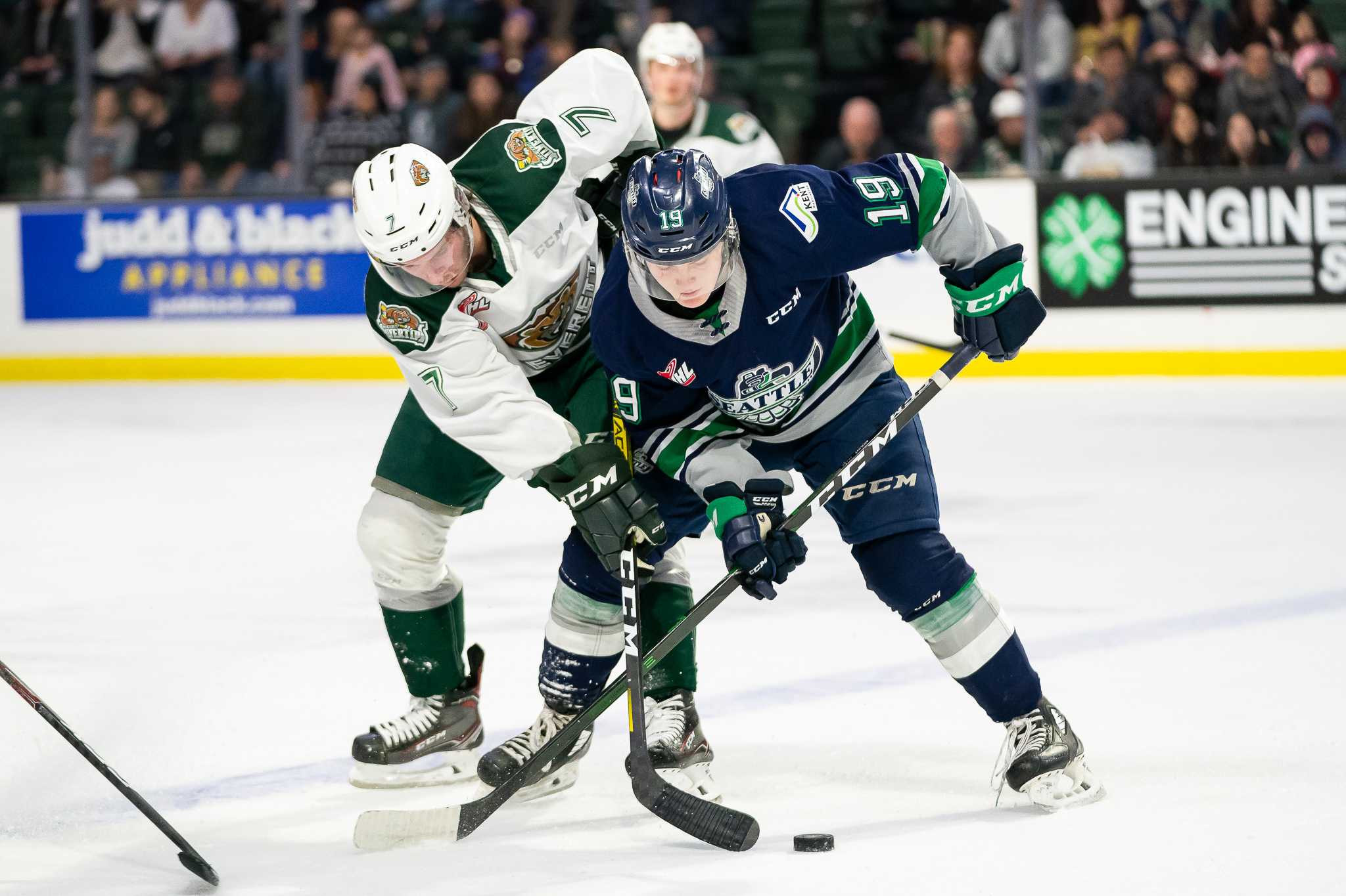 Tips Defeat T-Birds In First Game of Home-and-Home Series - Seattle ...