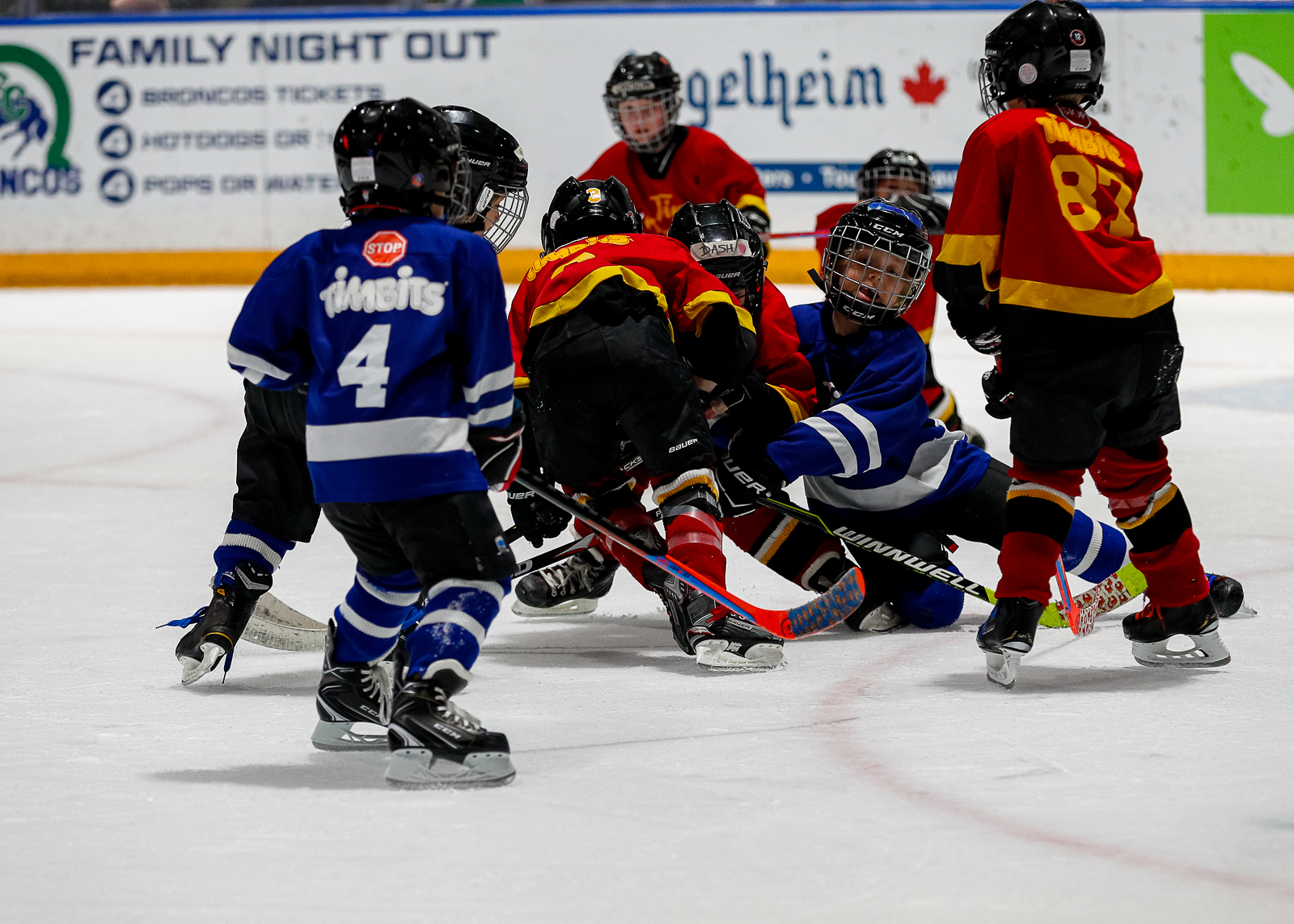 Timbits Hockey, March 2, 2022 - Swift Current Broncos