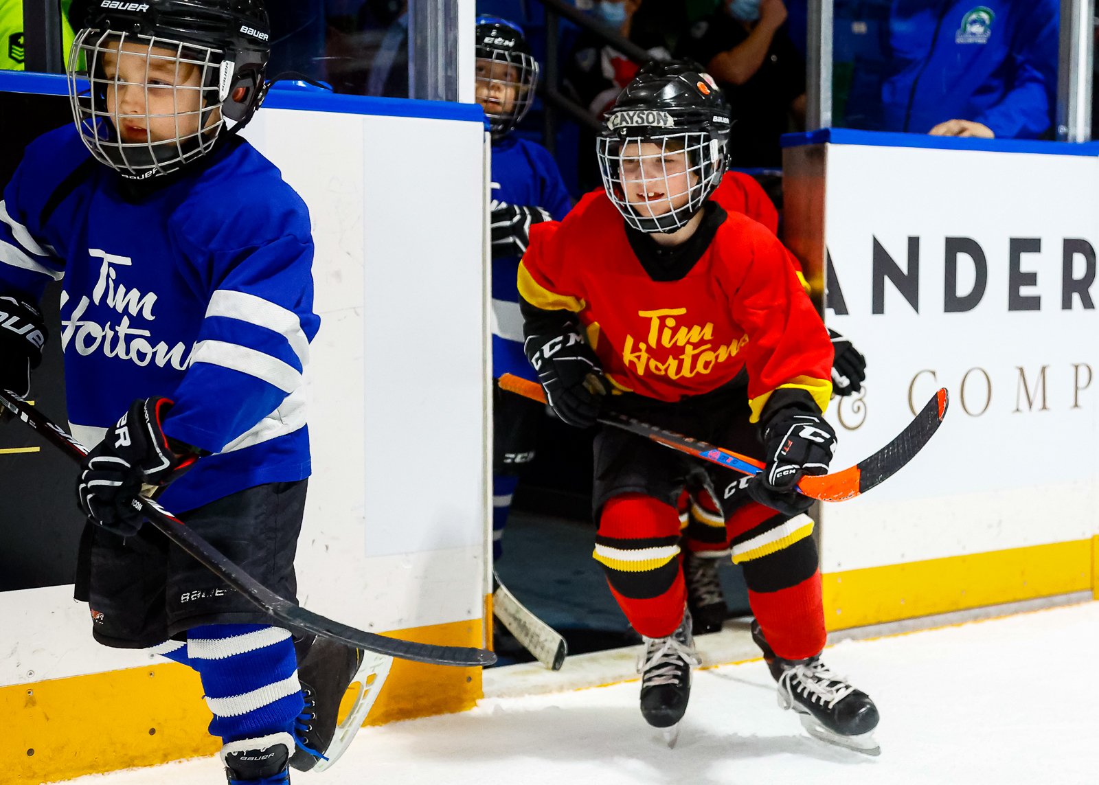 Timbits Hockey, March 2, 2022 - Swift Current Broncos