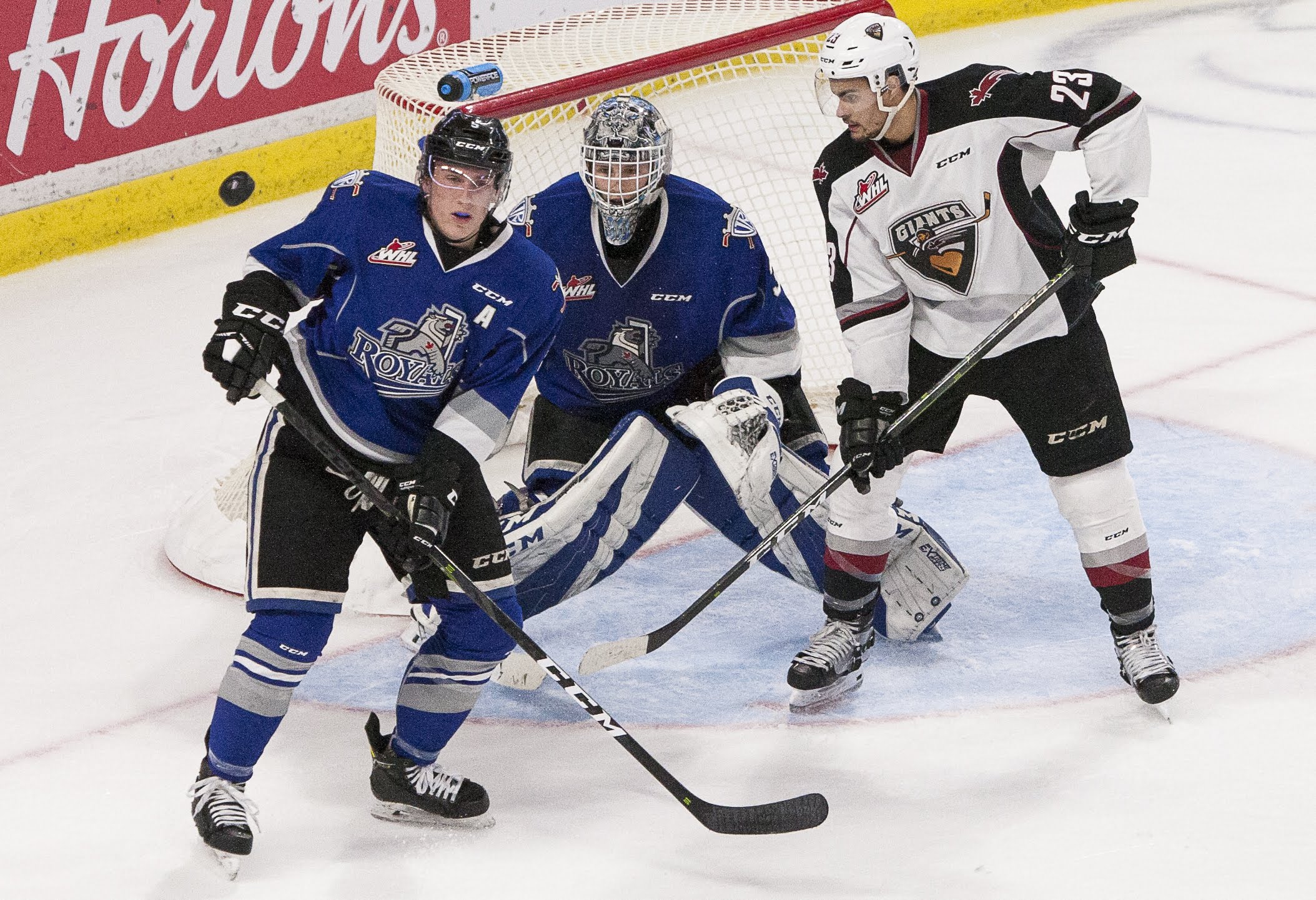 Preseason Preview: Vancouver Giants vs. Victoria Royals