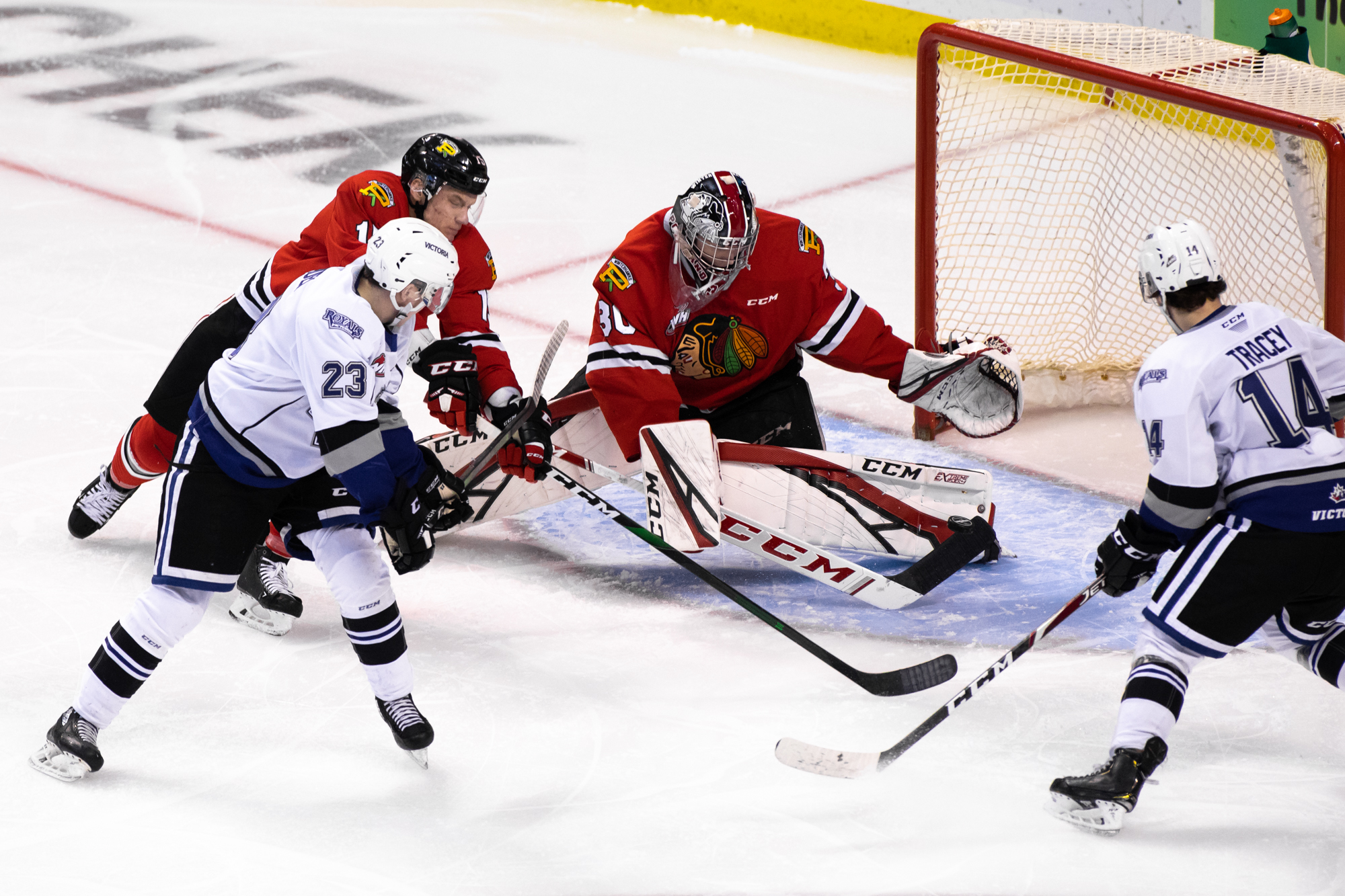 Game Galleries – Victoria vs Portland – Jan 11/20 - Victoria Royals