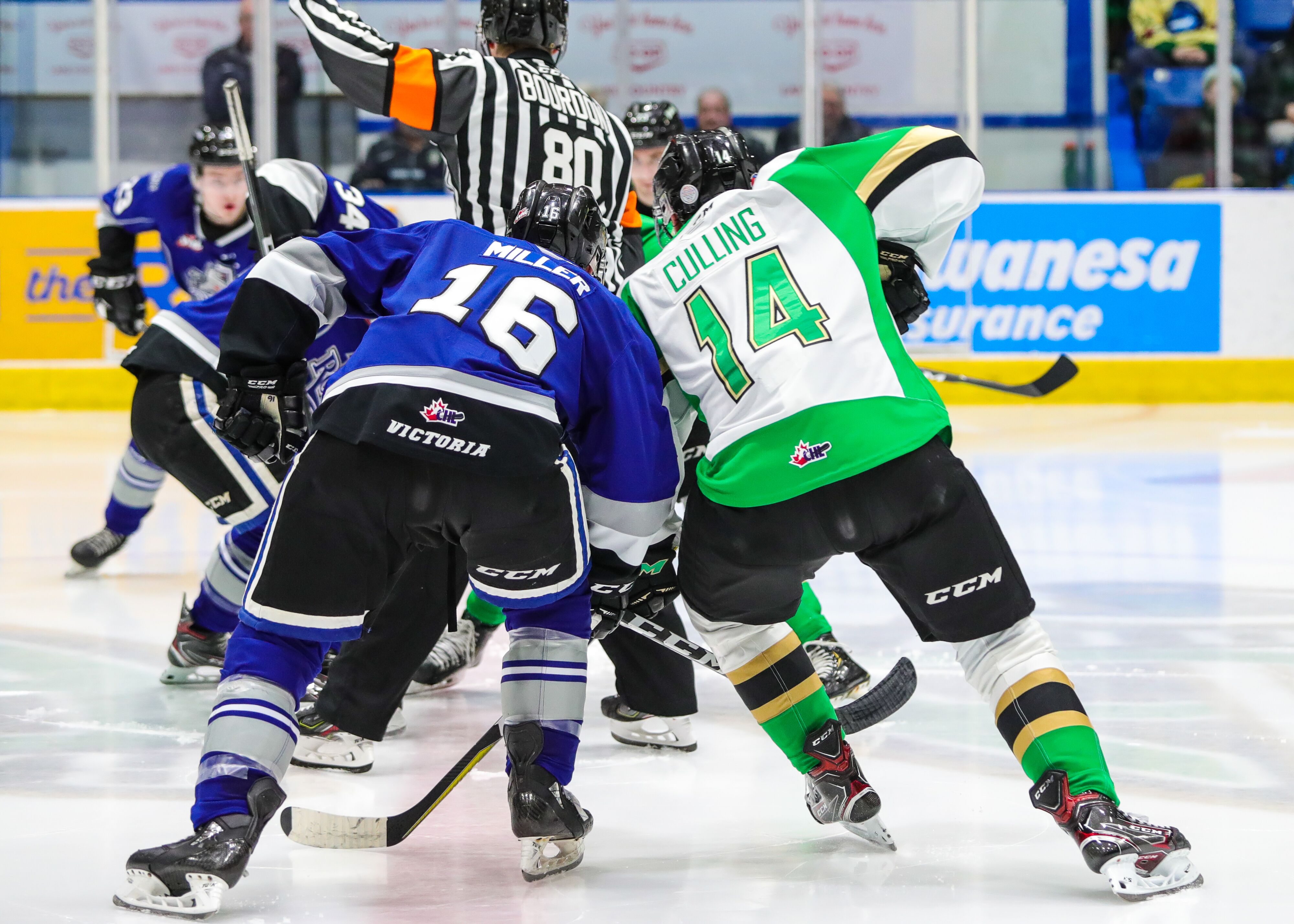 ROYALS SHUT OUT BY RAIDERS - Victoria Royals