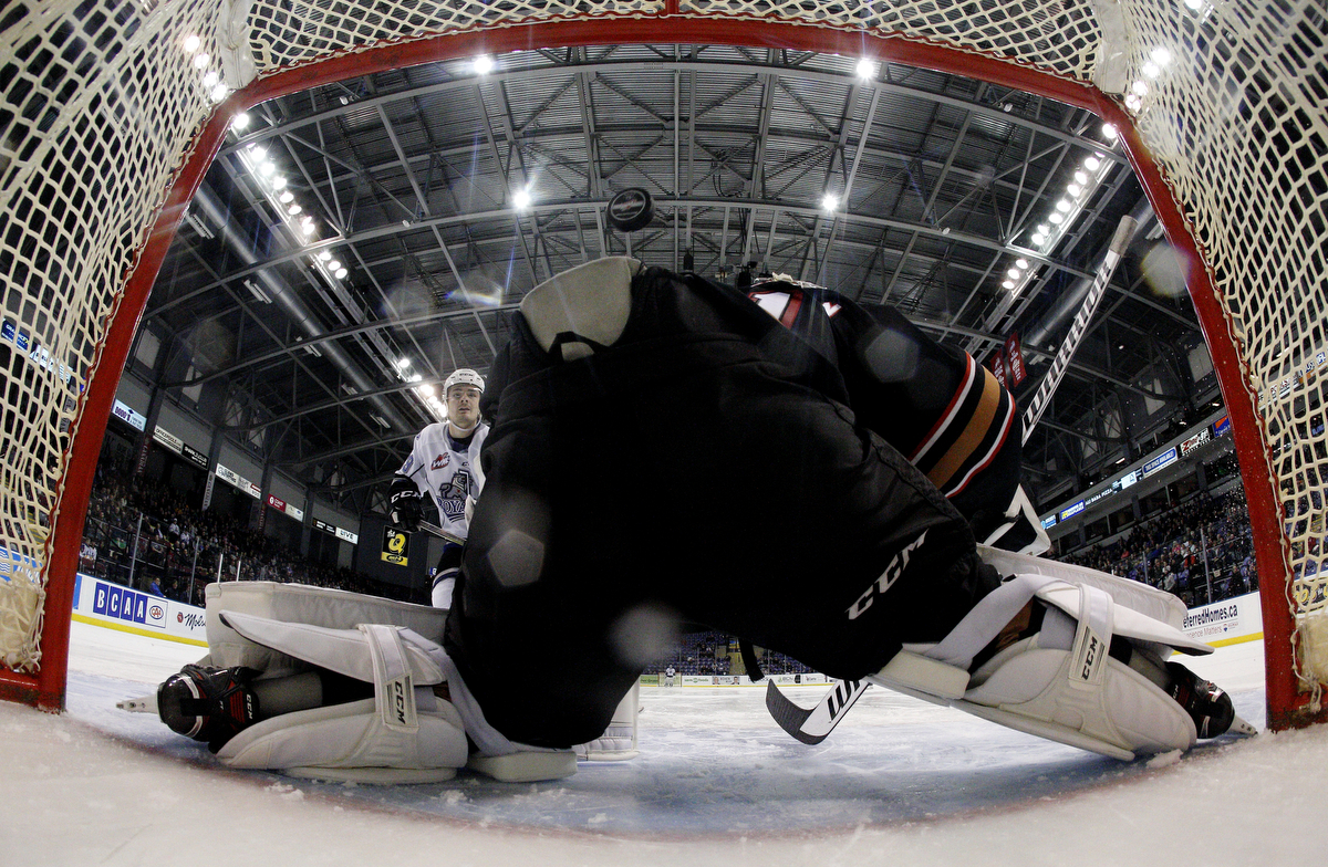Game Galleries - Victoria vs Calgary - Feb 19/20 - Victoria Royals