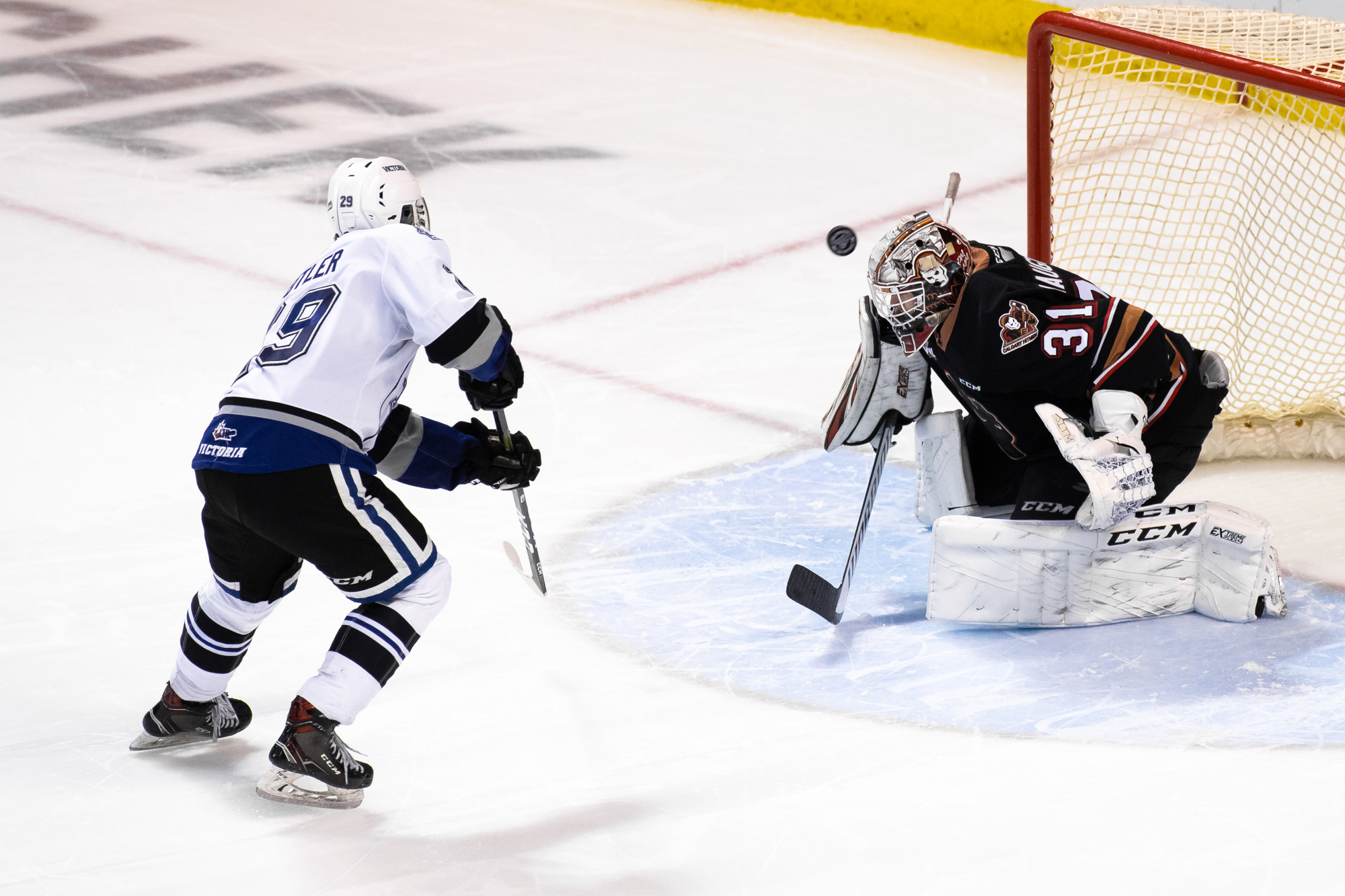 Game Galleries - Victoria vs Calgary - Feb 19/20 - Victoria Royals