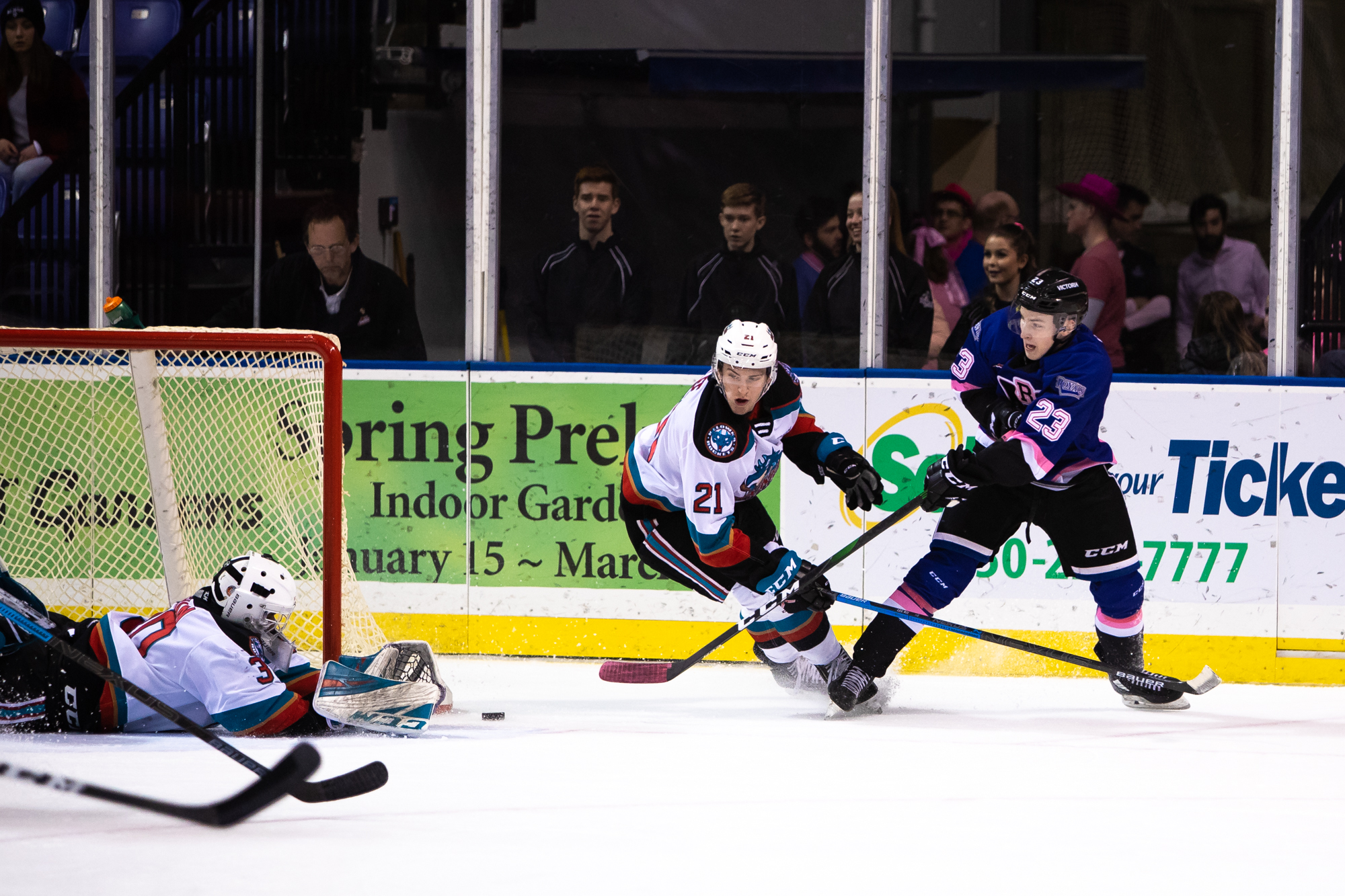 Game Galleries - Victoria vs. Kelowna - Feb 22/20 - Victoria Royals