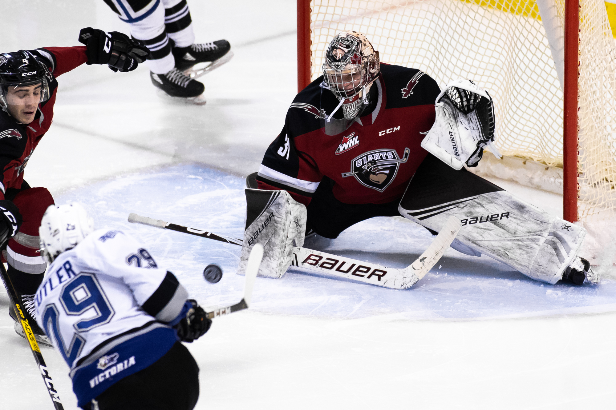 Game Galleries - Victoria vs Vancouver - Mar 1/20 - Victoria Royals