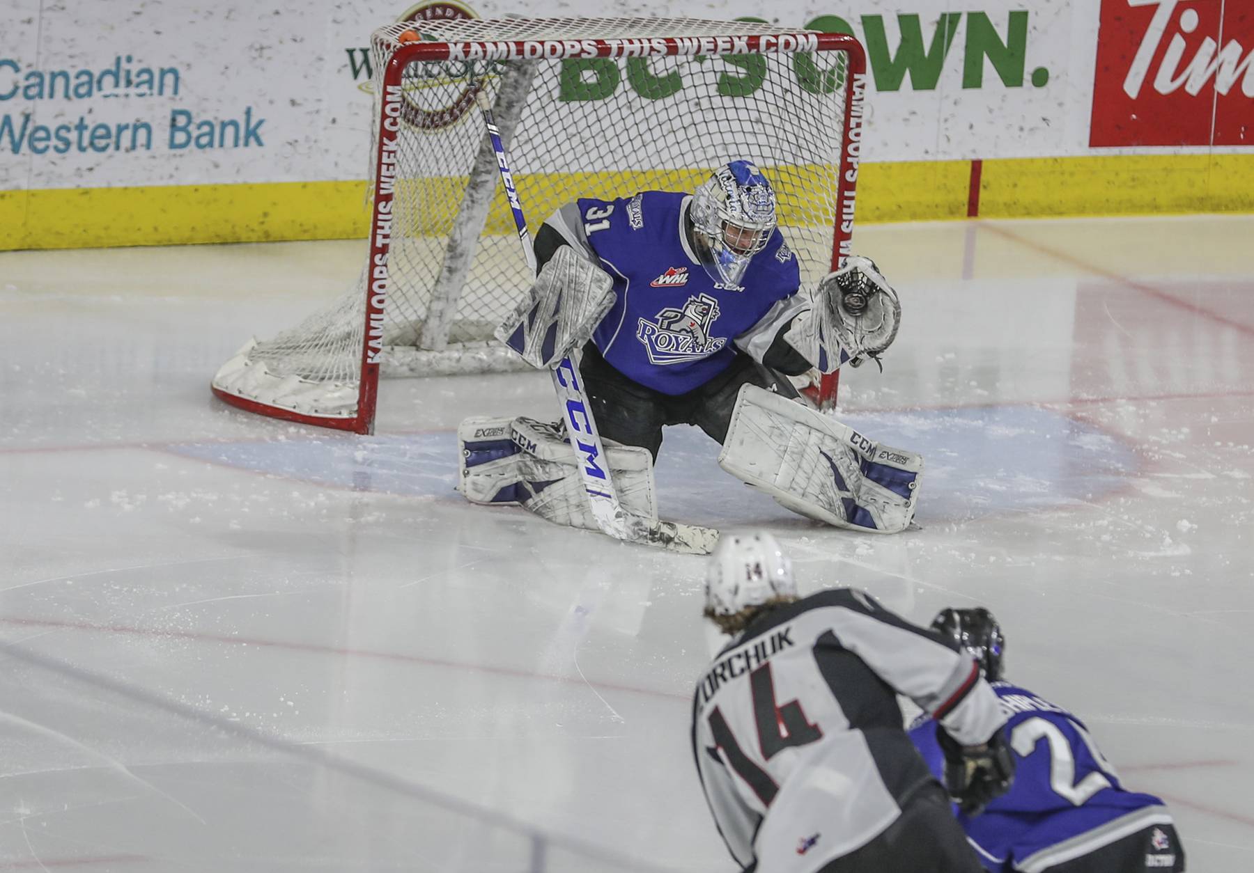 ROYALS TAKEN DOWN BY GIANTS - Victoria Royals