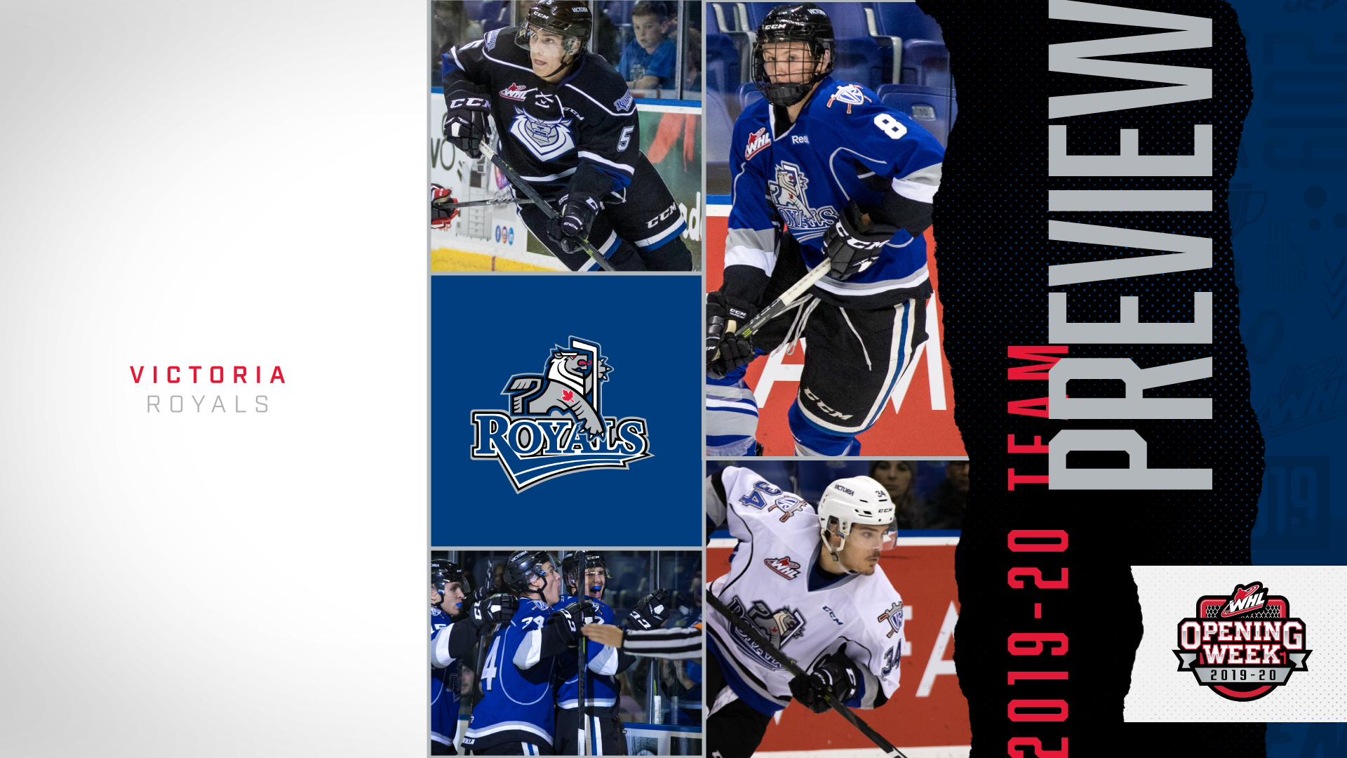 2019-20 WHL Season Preview: Victoria Royals - Western Hockey League