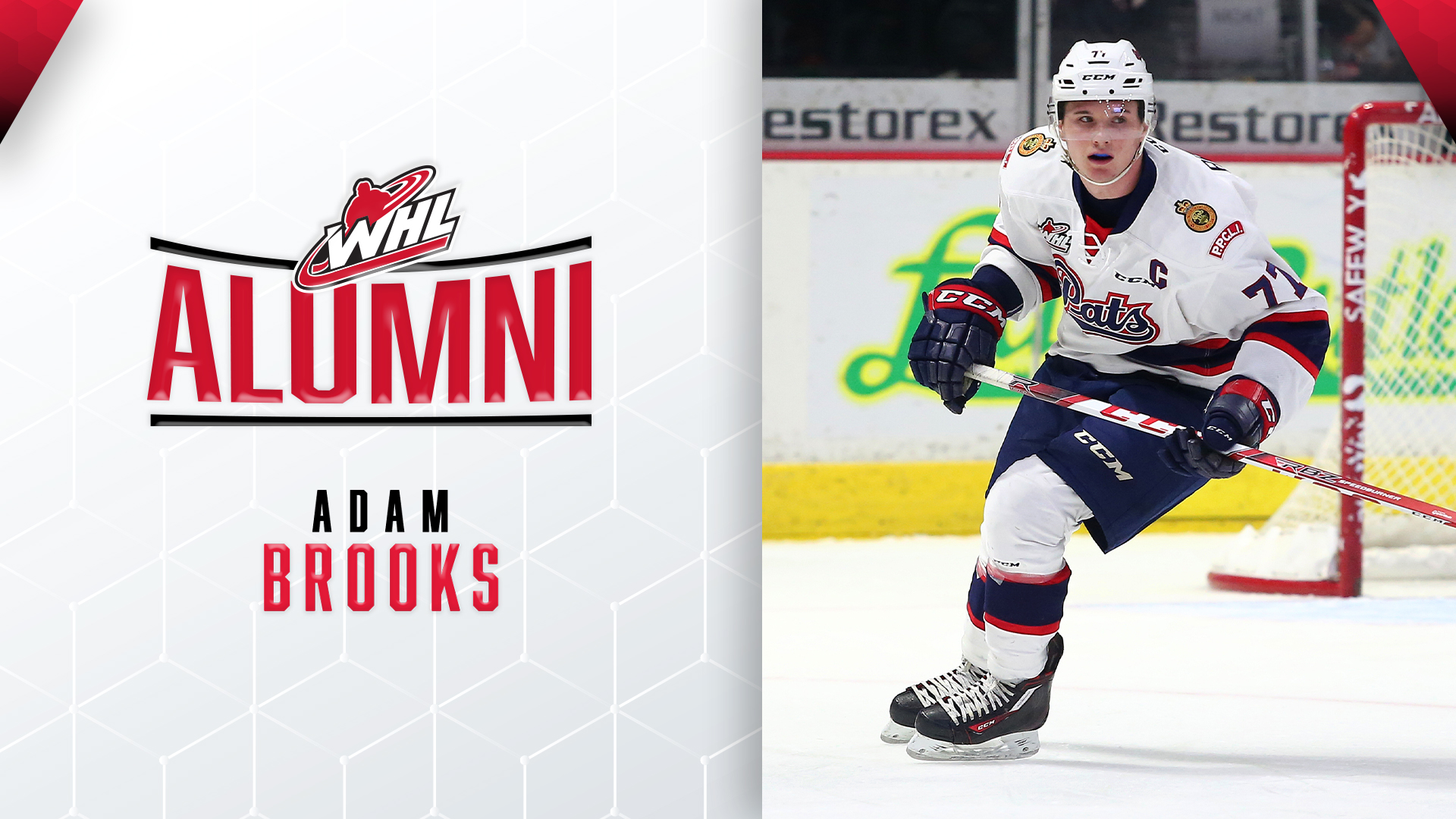 Perseverance paying off for former Pats captain Adam Brooks | Canadian ...