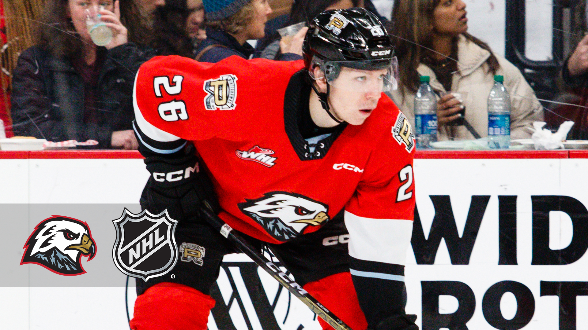 Winterhawks defenceman Alscher signs NHL entry-level contract with ...