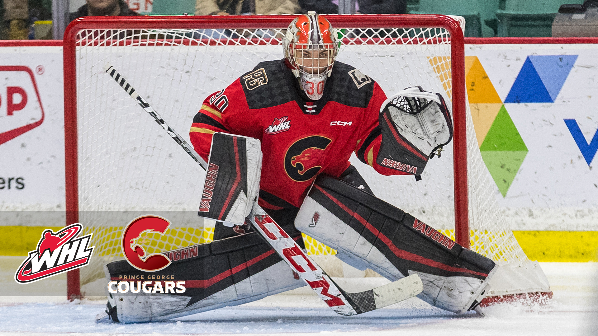 Cougars goaltender Brennan signs entry-level contract with Devils ...