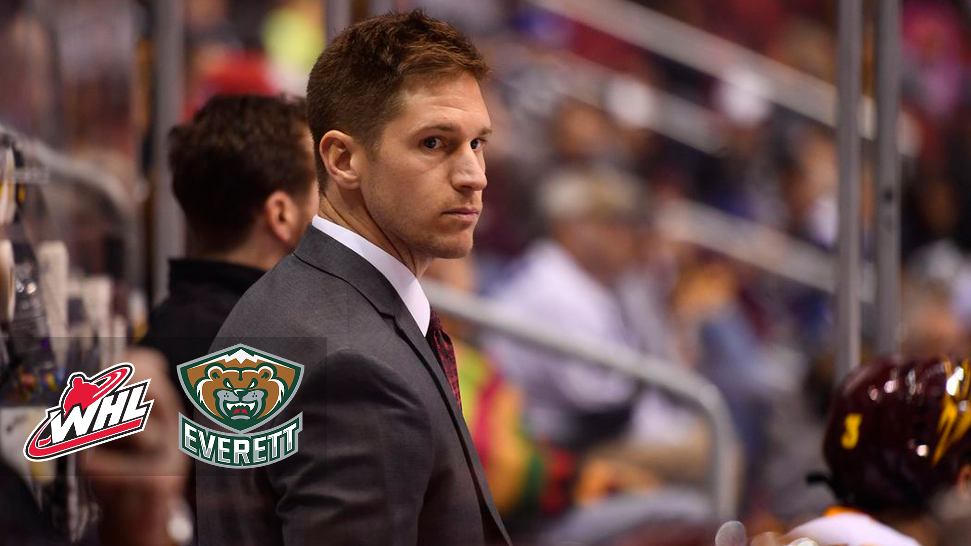 Silvertips hire Mike Field as assistant coach - Western Hockey League